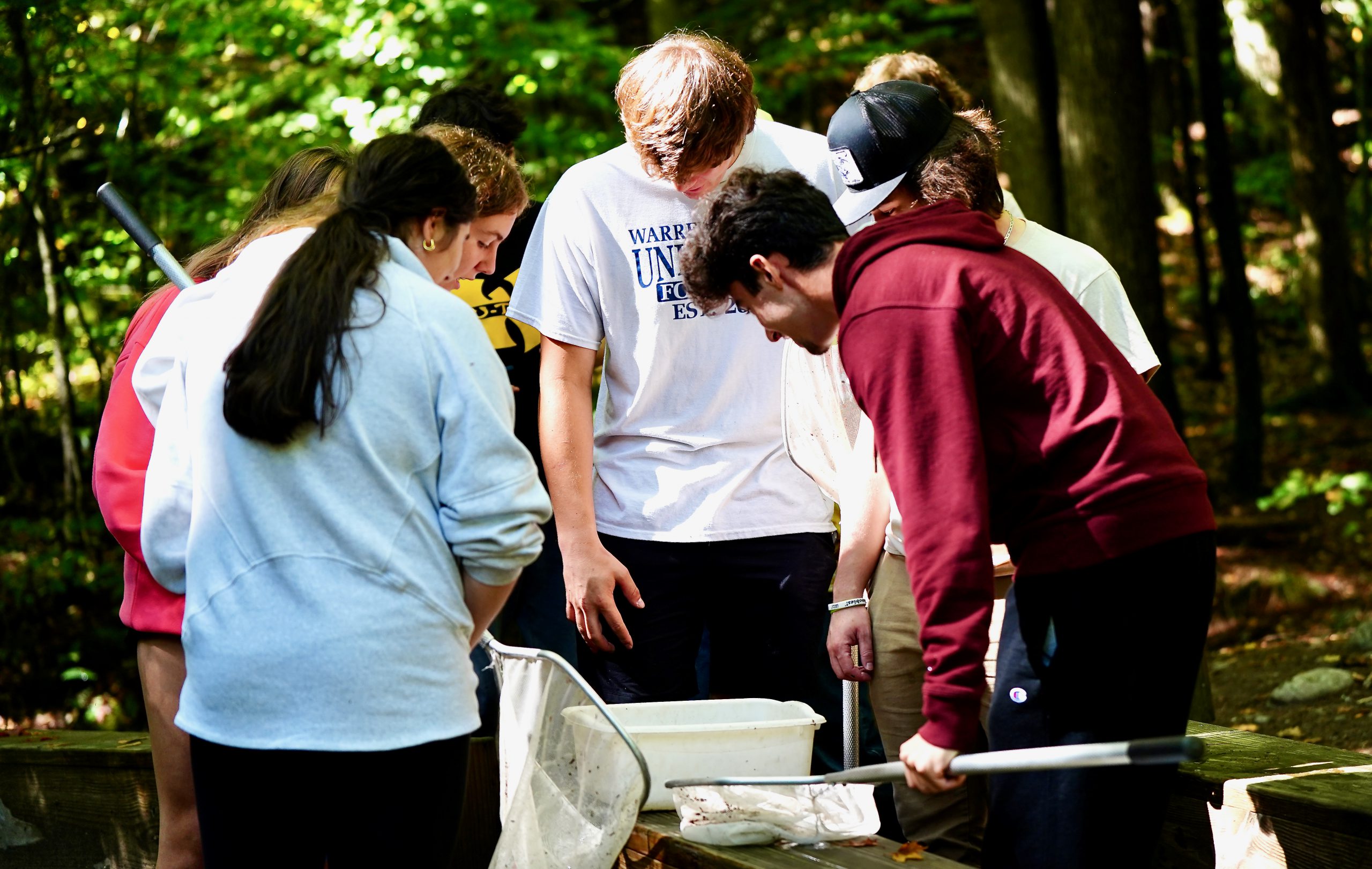 Jr.-Sr. High School - Lake George Central School District